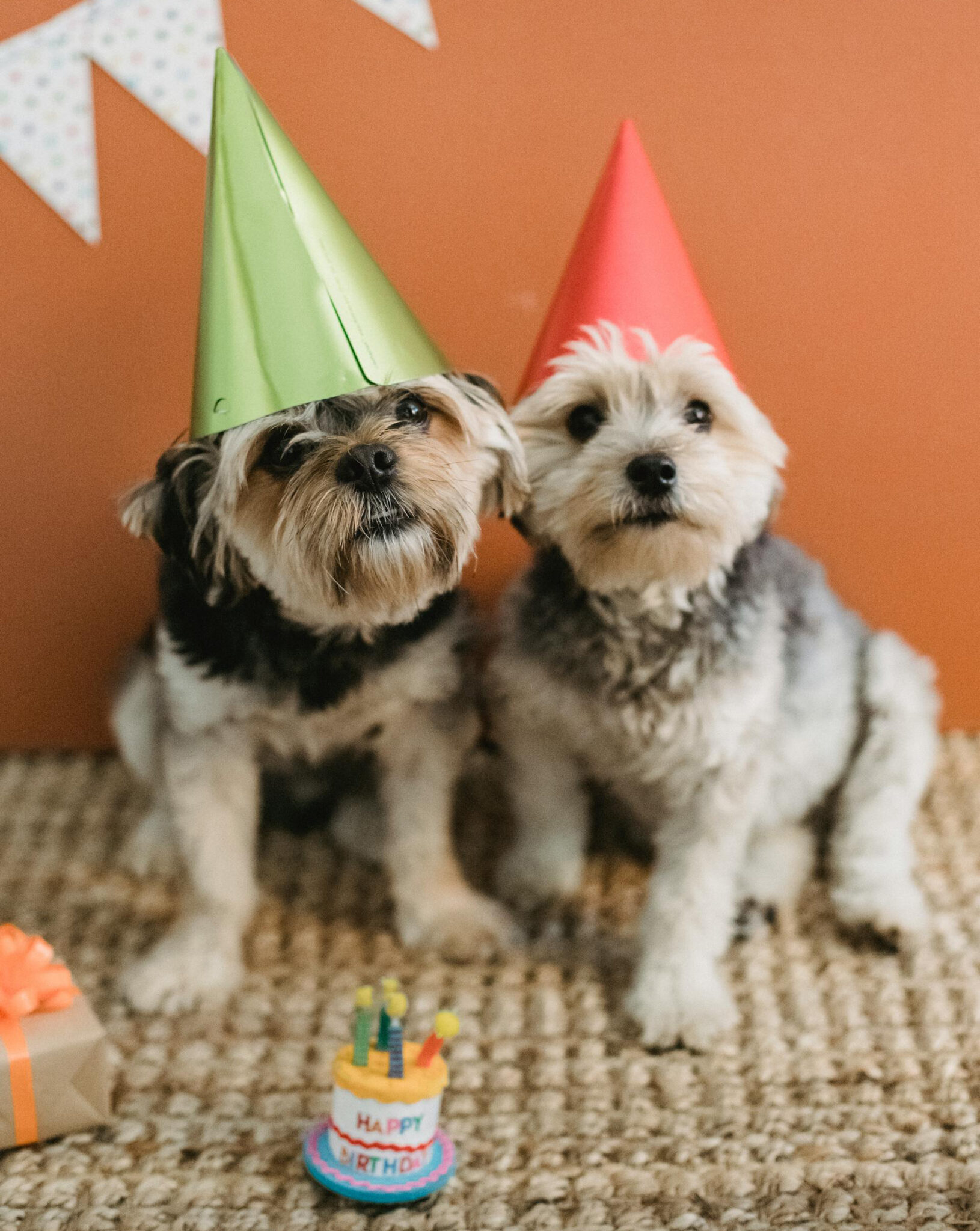 Stress-Free Event Planning: Secrets to a Seamless Celebration - Urban ...